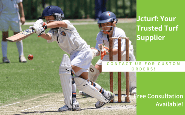 What Is Turf Cricket? Full Guide to Synthetic Pitches