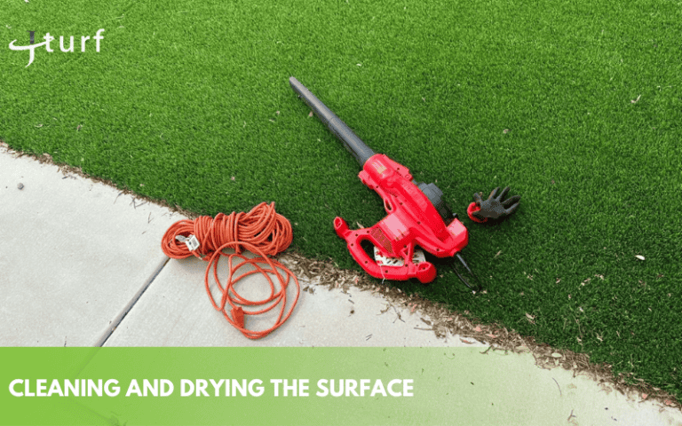 Can You Paint Artificial Turf? Best Paints, Steps, and Alternatives